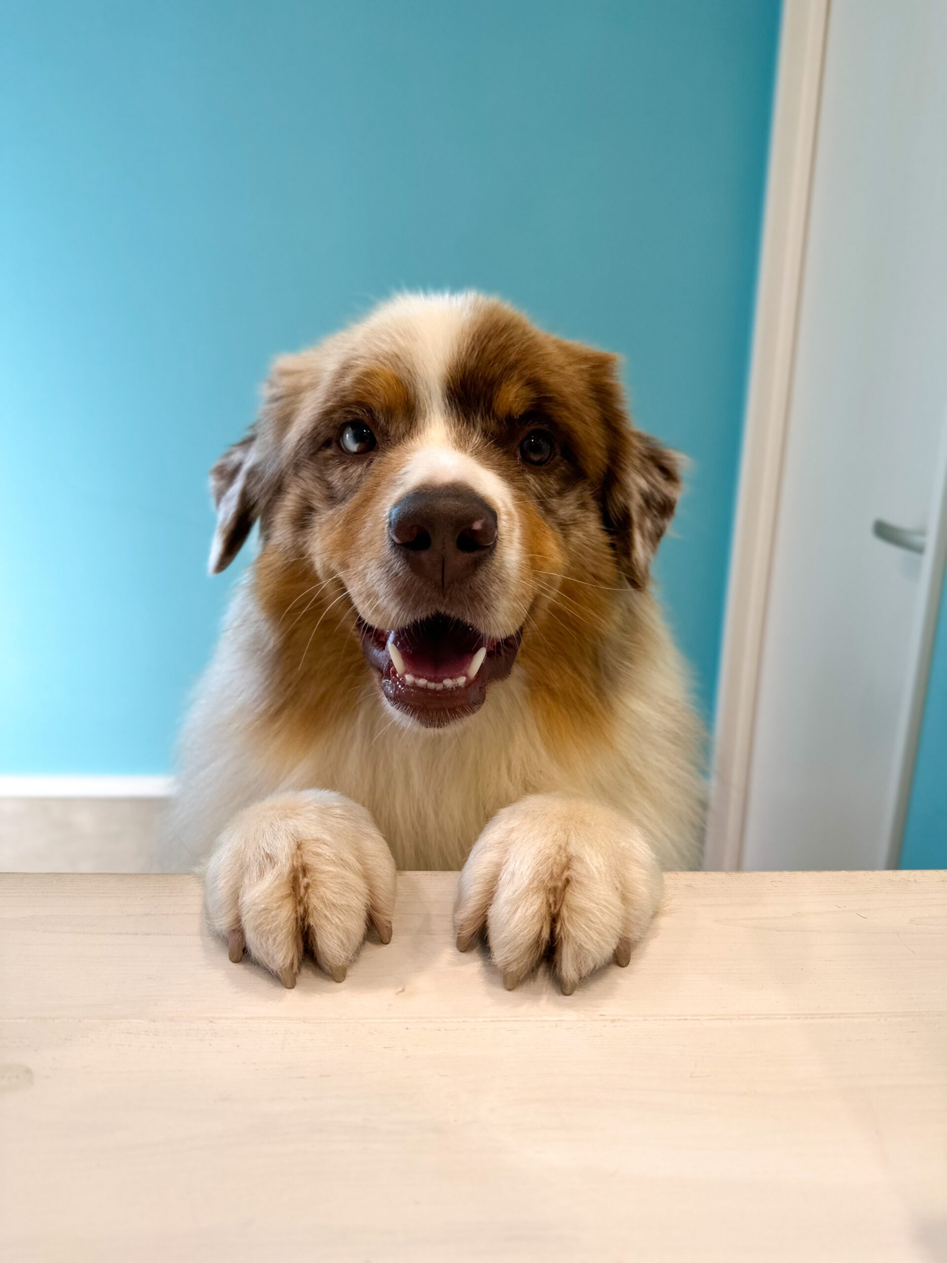 店舗紹介 | AZURE ROSE(アジュールローズ)