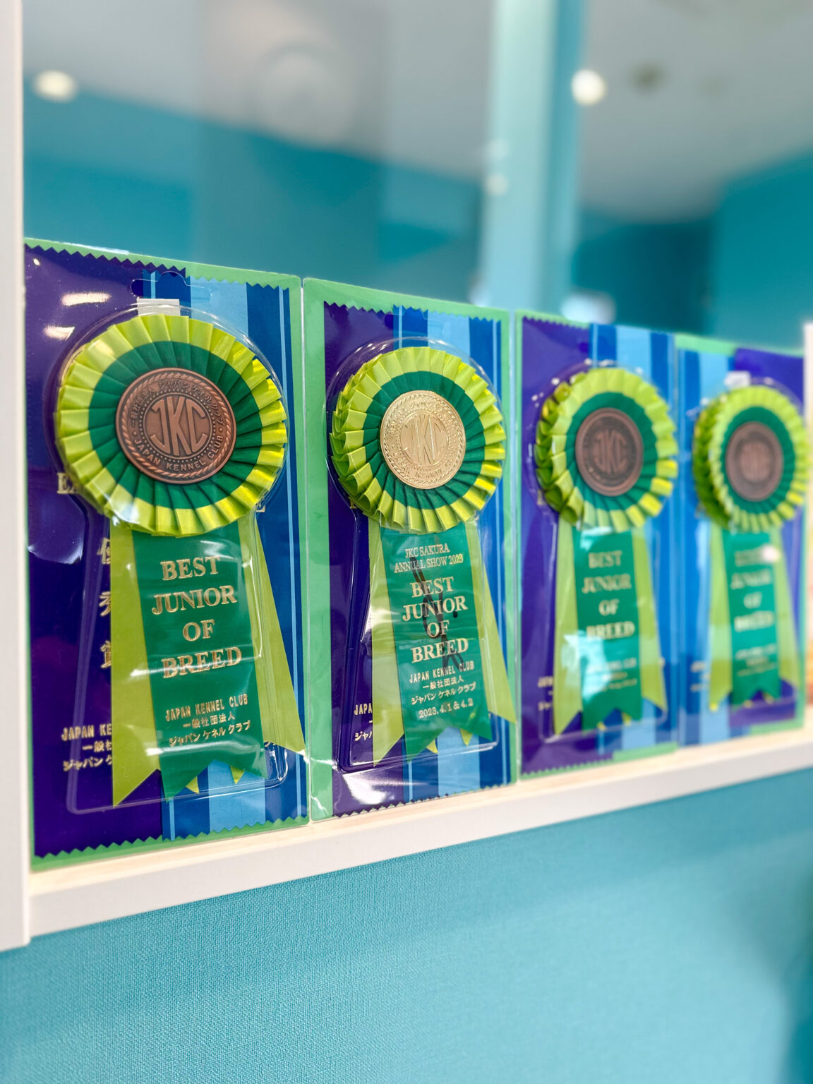 店舗紹介 | AZURE ROSE(アジュールローズ)