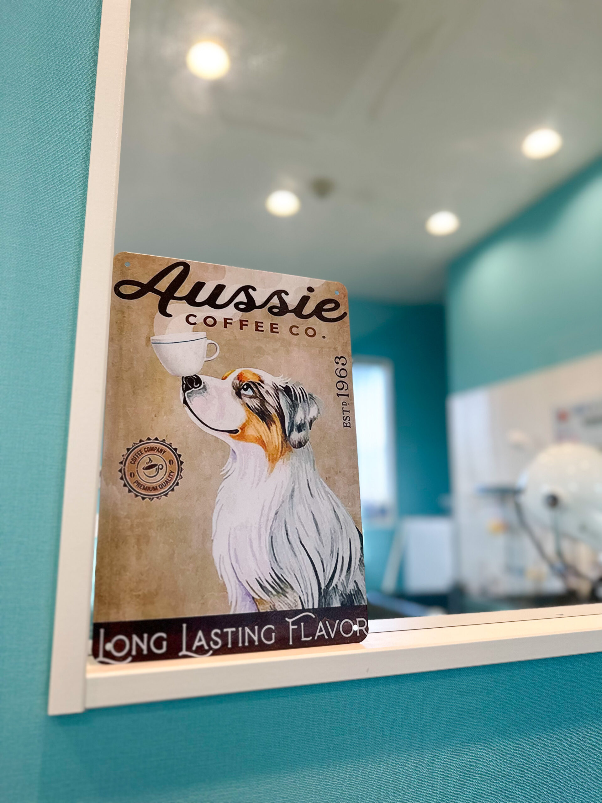 店舗紹介 | AZURE ROSE(アジュールローズ)